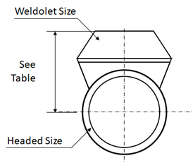 Reducing Weldolet Stainless Steel Pipe Fittings ASTM A403 MSS SP-97