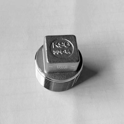 Stainless Square Head Plug Threaded , ASTM A351 SS Tube Fittings