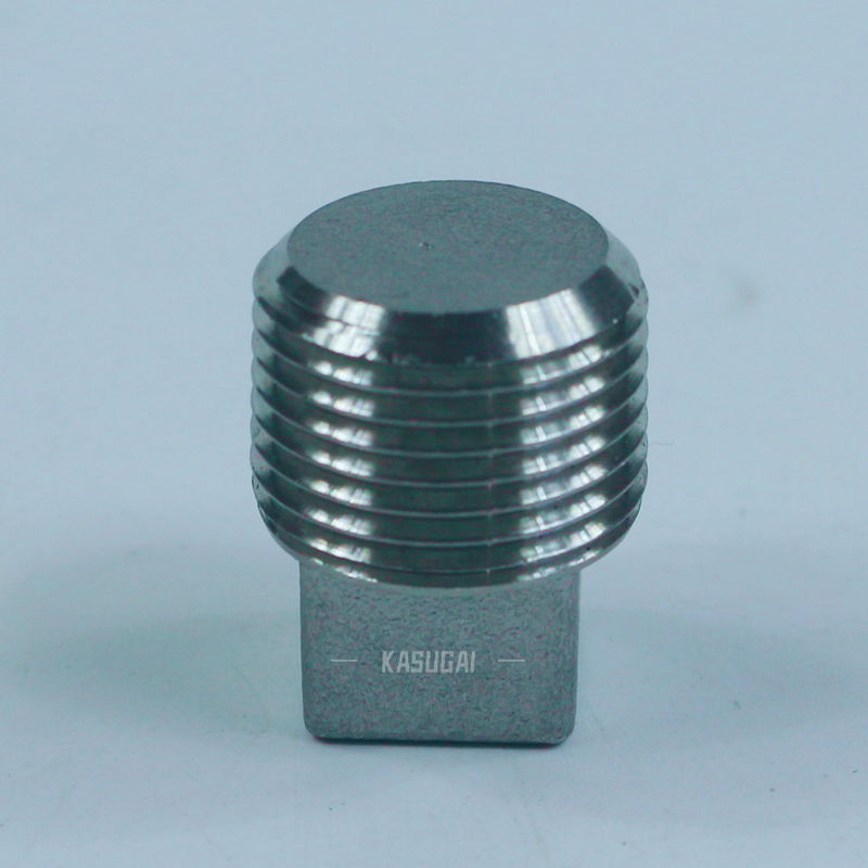 ASTM A351 CF8 Stainless Steel Threaded Square Head Plug