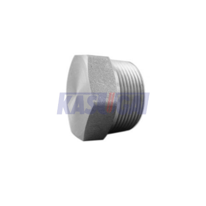 Carbon Steel Threaded Hex Head Plug , High Pressure Carbon Steel Weld ...